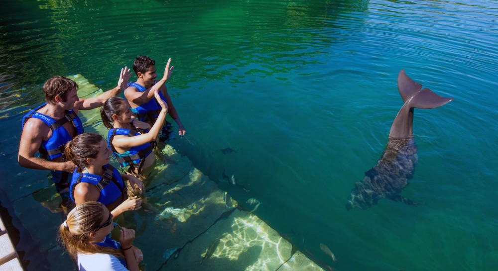 Xel Há Delphinus: Dolphinclusive Primax - Tulum | Project Expedition