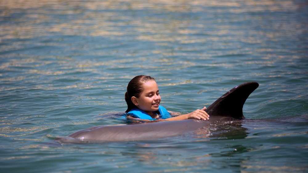 Xel Há Delphinus: Dolphinclusive Primax - Tulum | Project Expedition
