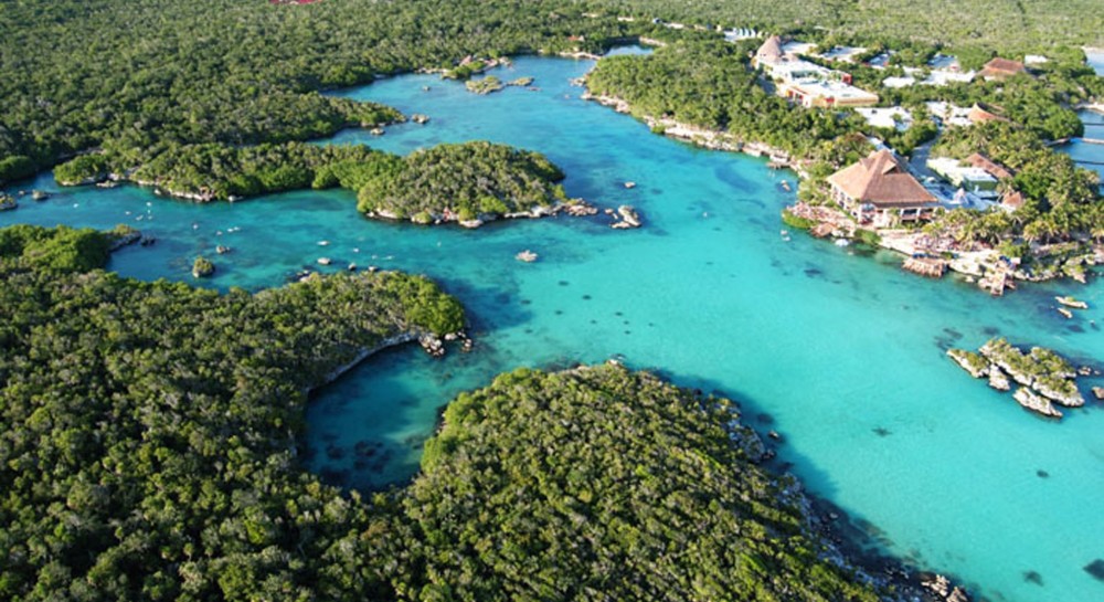 Xel Há Delphinus: Dolphinclusive Primax - Tulum | Project Expedition