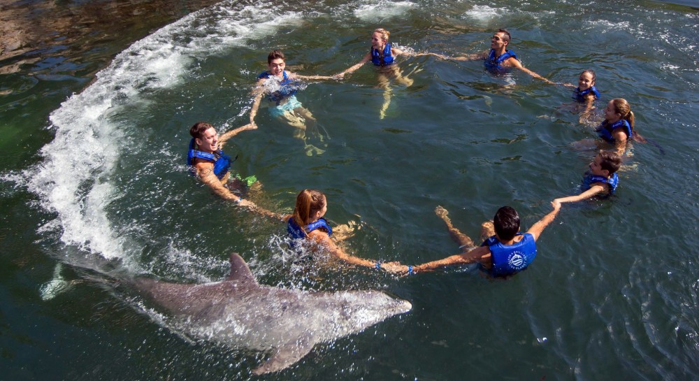 Xel-Há Delphinus: Dolphinclusive Interax - Tulum | Project Expedition