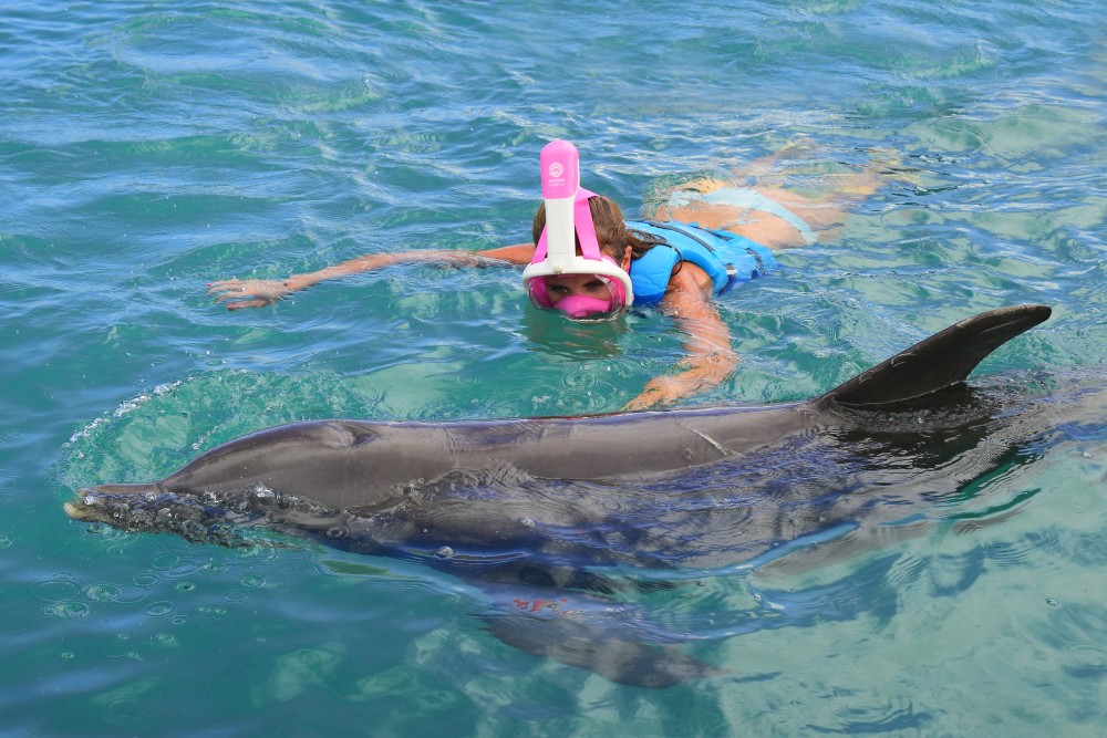Xel-Há Delphinus: Dolphinclusive Interax - Tulum | Project Expedition