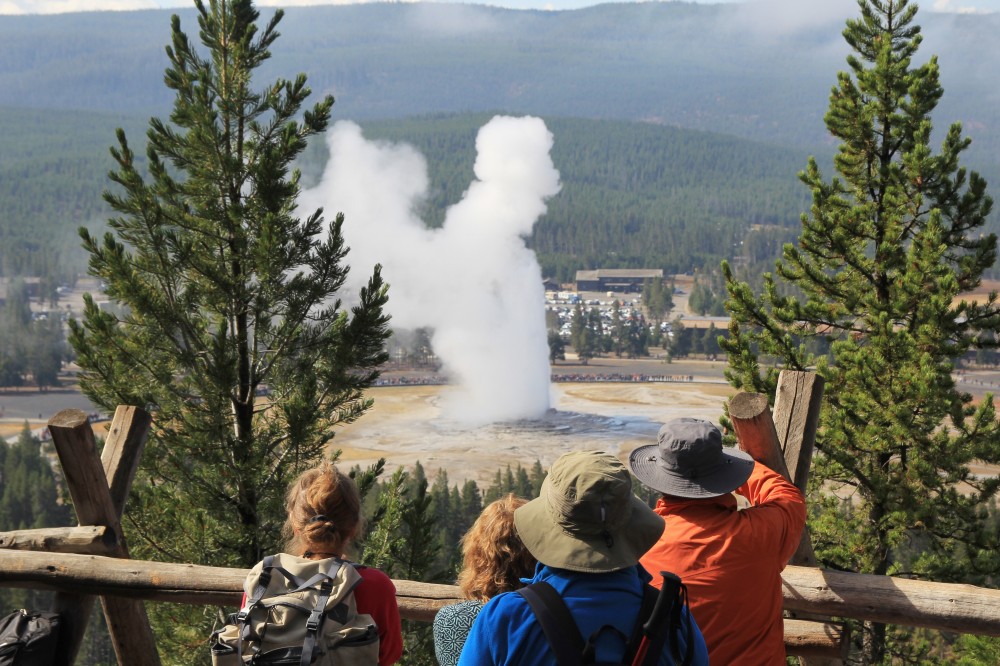 Wildlife Expeditions - Project Expedition