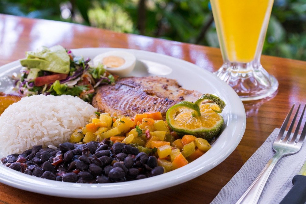 Campesino Farm Experience Traditional Costa Rican Tour - La Fortuna ...