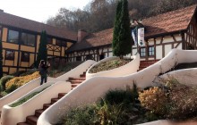 Nami Island + Petite France Tour - Seoul | Project Expedition