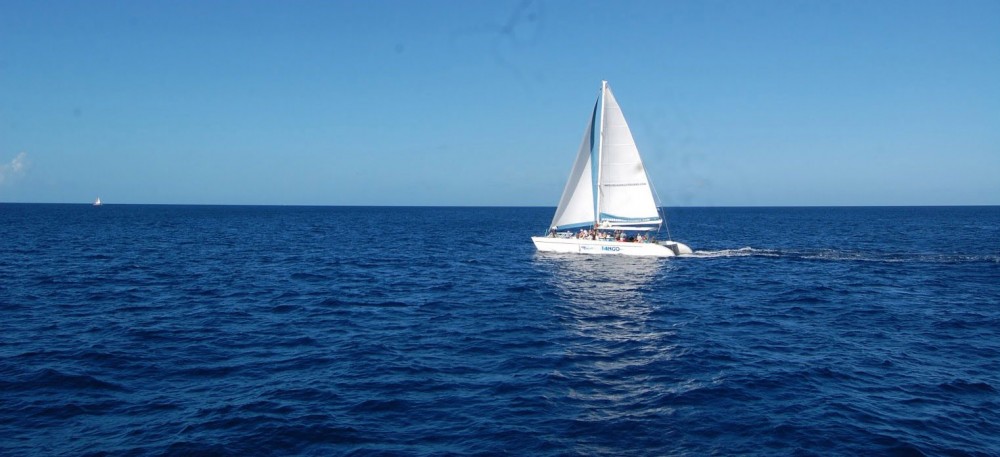 Private Catamaran Full Day Charter from Rodney Bay - Rodney Bay ...
