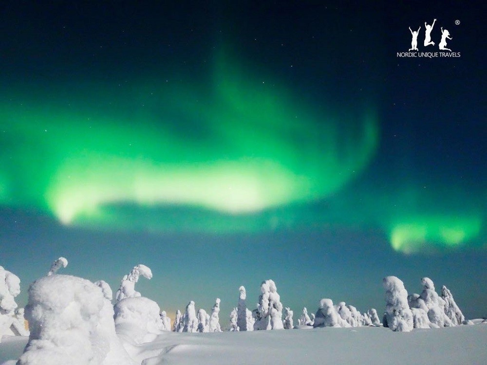 Northern Lights Sleigh Ride - Rovaniemi | Project Expedition