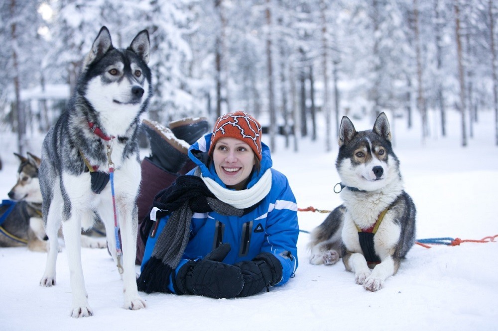 Husky Farm Visit with Husky Sleigh Experience - Rovaniemi | Project ...