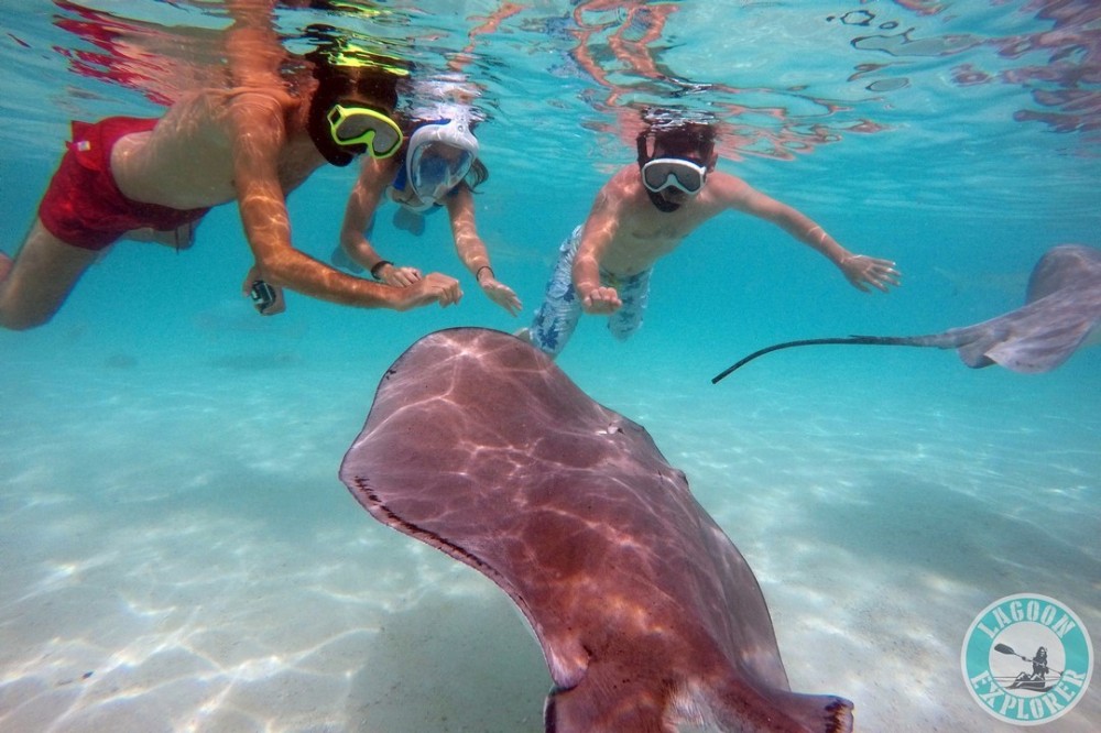 Discovery - 2 Hours Excursion by Clear Kayak - Moorea | Project Expedition