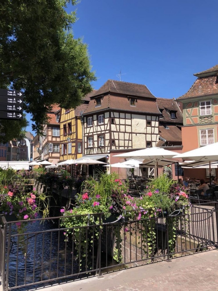 Swiss Basel & Colmar in France on a Day Trip - Zurich | Project Expedition