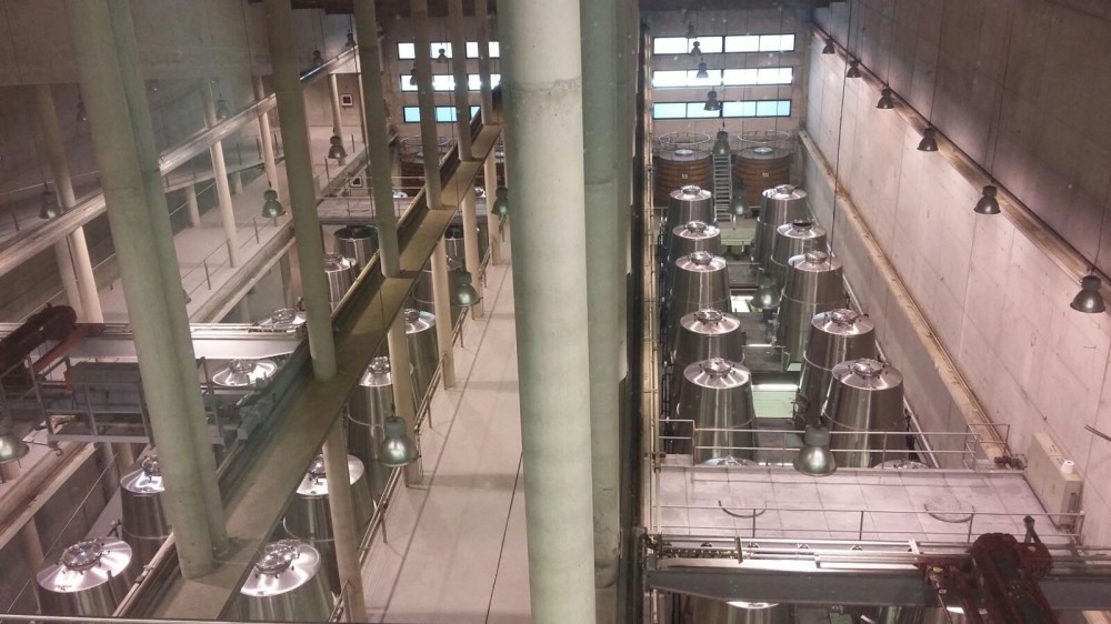 Local Experts Tours - Project Expedition