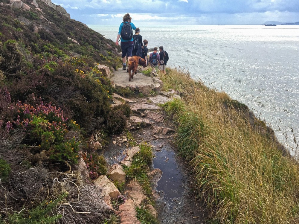 Howth Peninsula Hiking Tour - Howth | Project Expedition