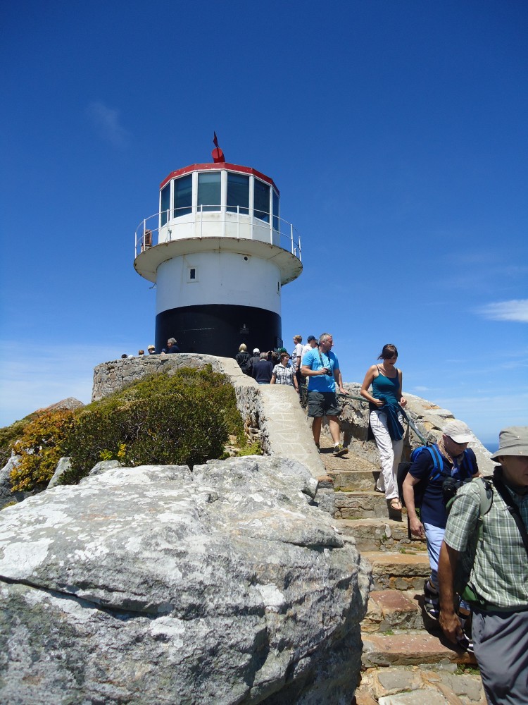 The Ultimate Cape Point Tour - Cape Town | Project Expedition