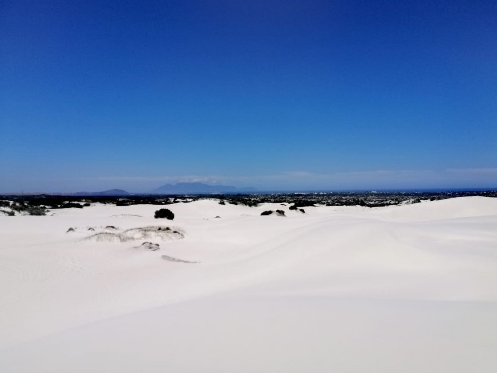 Sandboarding Atlantis Dunes - Cape Town | Project Expedition