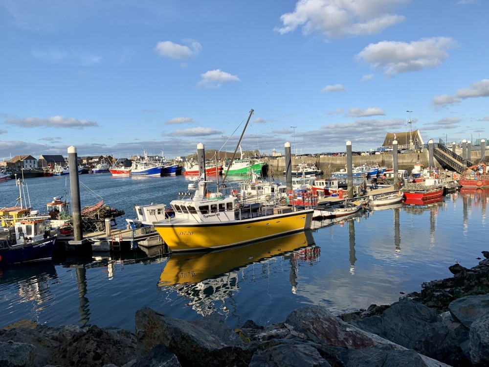 Howth Coastal Walk - Howth | Project Expedition