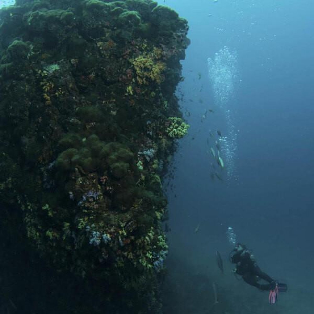 Raya Divers | Project Expedition