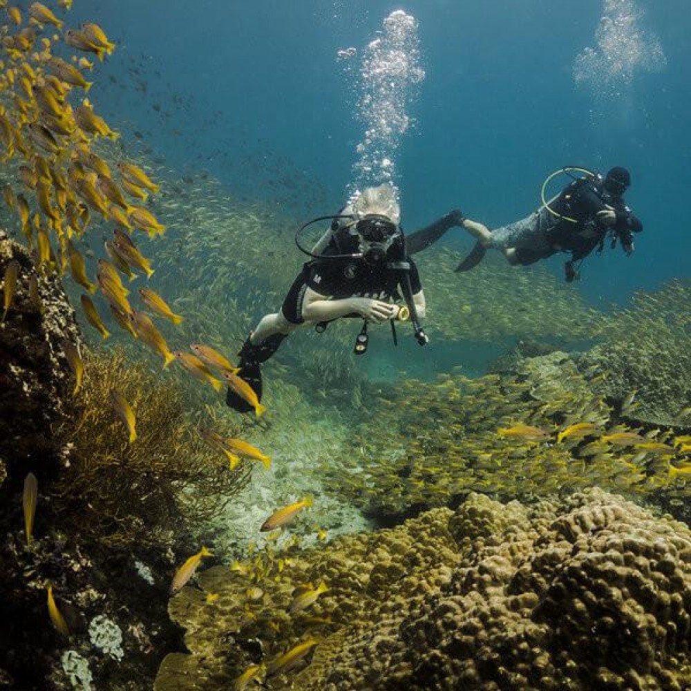 Discover Scuba Diving from Khao Lak - Khao Lak | Project Expedition