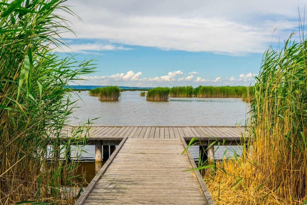 Private Drive: Trip to Eisenstadt & Lake Neusiedl from Vienna - Vienna ...