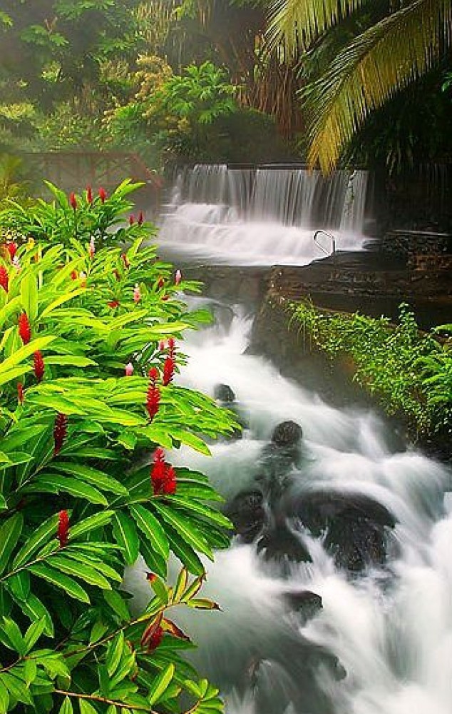 Costa Rican Nature & Culture Vacation Package - 6D/5N - San Jose ...
