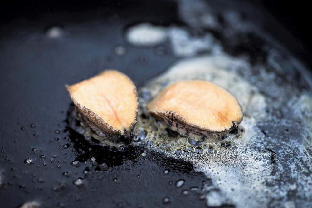 Abalone Farm Tour and Tasting With Coastal Seaweed Walk - Galway ...