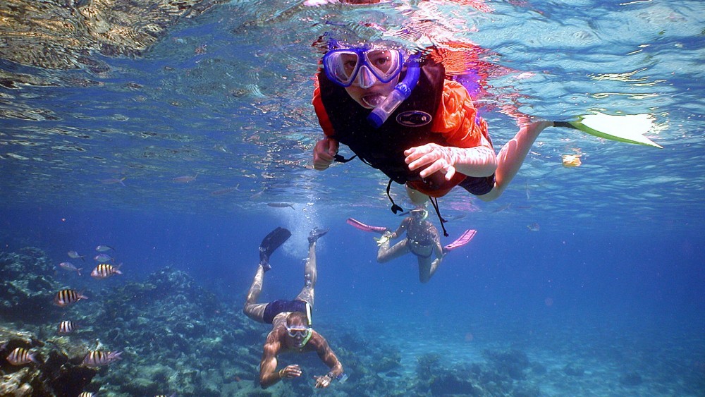 Dolphin Watching & Snorkeling - Muscat | Project Expedition