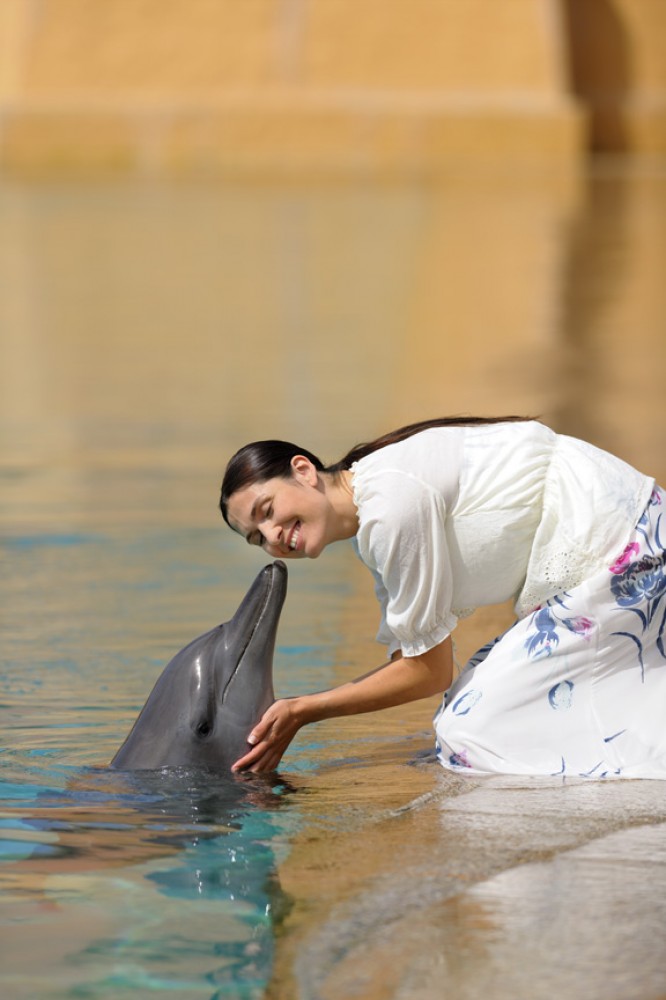 Dolphin Photo Fun at Atlantis with Aquaventure Park Access - Dubai ...