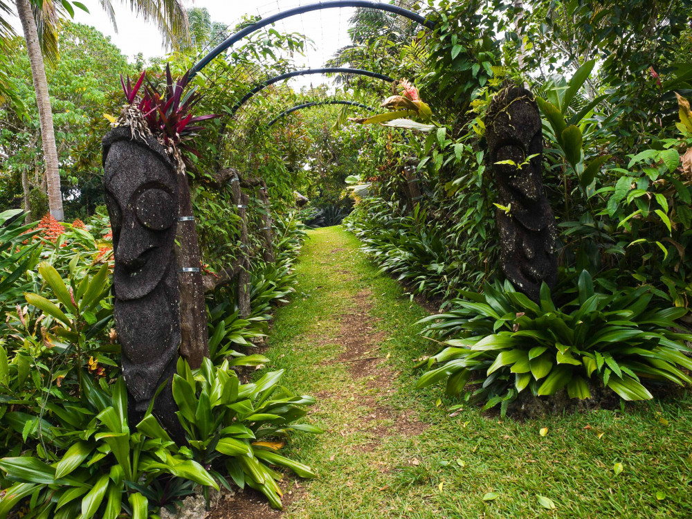 Guided Kava Plantation Tour at Eden on the River - Port Vila | Project ...