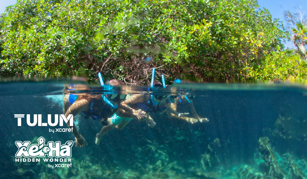 Tulum + Xel-Há Tour - Tulum | Project Expedition