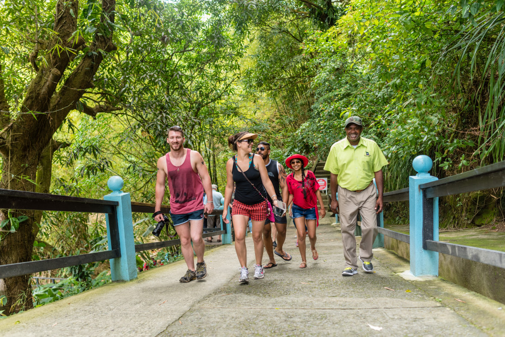 Half Day Excursion: Volcano & Mud Baths From Soufriere - Soufriere ...