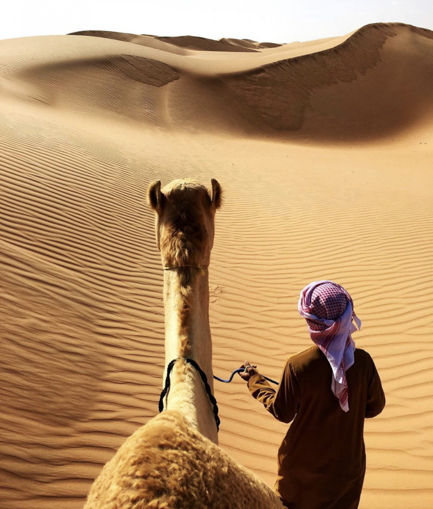 Full Day Safari Wahiba Sands, Muscat - Muscat | Project Expedition