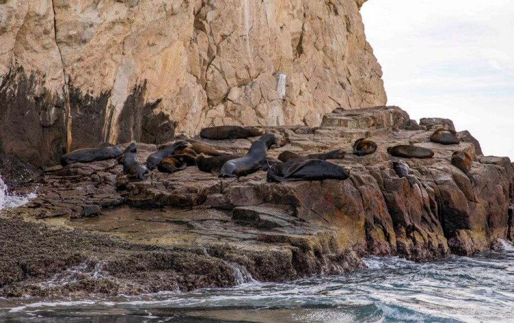 Cabo Arch Clear Boat Tour - Cabo San Lucas | Project Expedition