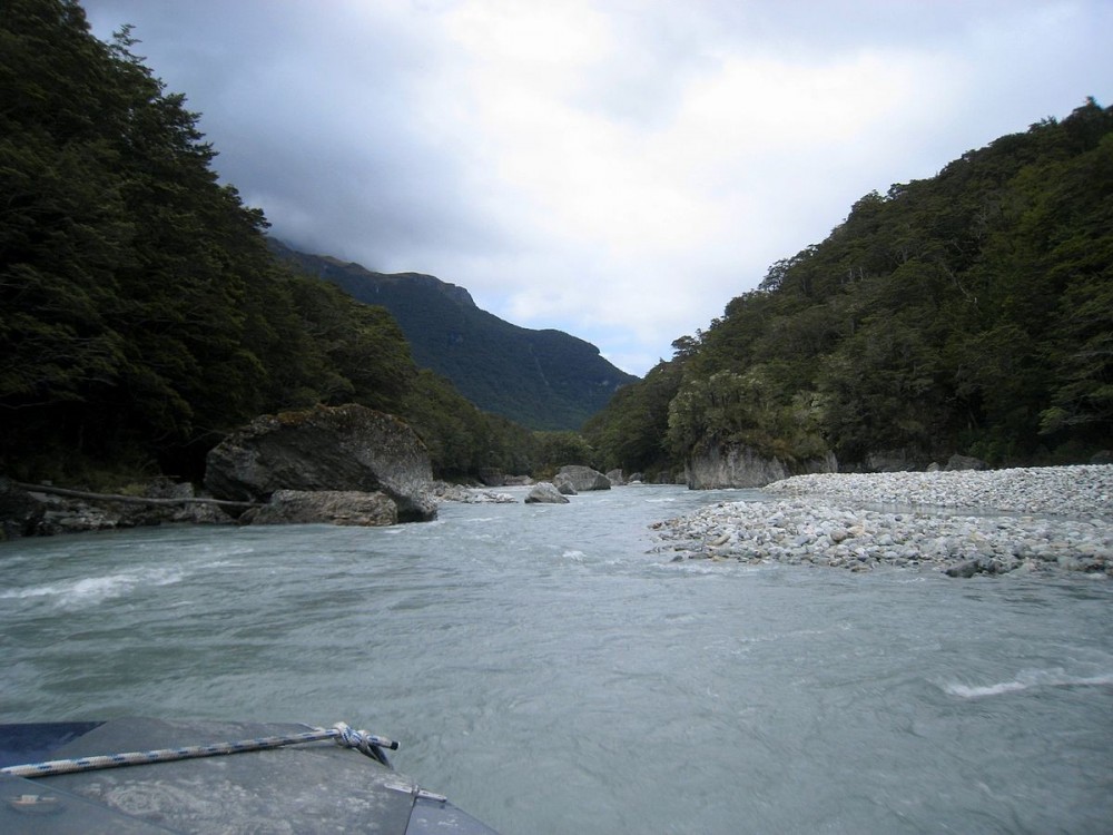 Dart River (Otago) Sights & Attractions - Project Expedition