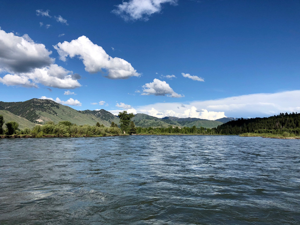 Snake River Scenic Float - Jackson | Project Expedition