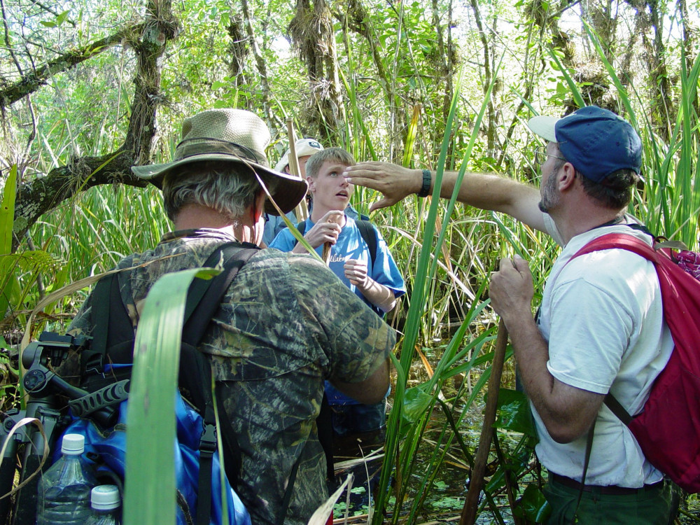 Guided Swamp Walk - Everglades City | Project Expedition