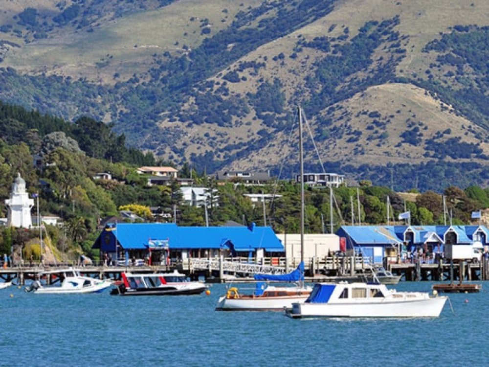 Akaroa Shore Excursion: Sheep Farm & Local Cheese Factory Tour - Akaroa ...