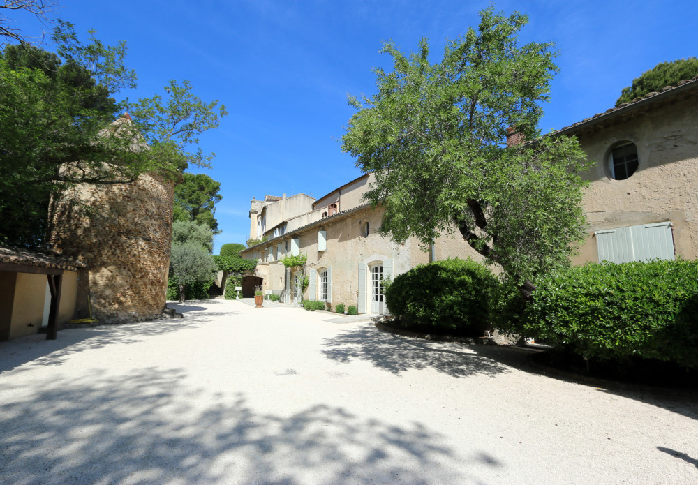 Private tour Châteauneuf du Pape intensive vineyard & fine wine ...