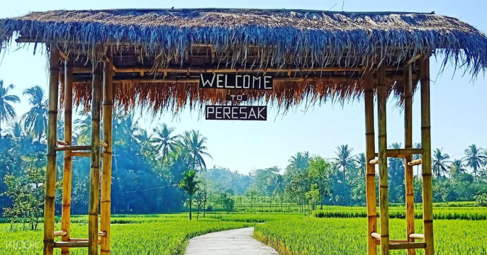 Destination Asia Destination Management- Malaysia - Project Expedition