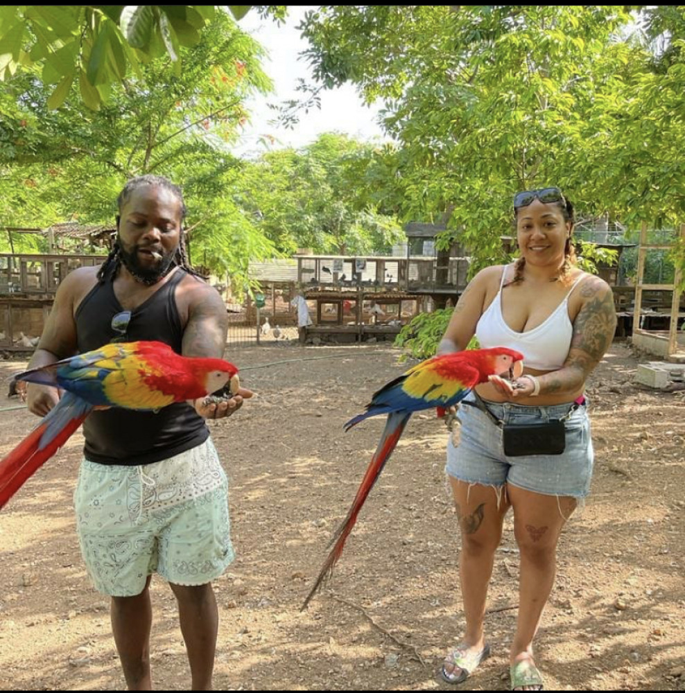 Private D'Boss Farm/Doctor's Cave Beach - Montego Bay | Project Expedition