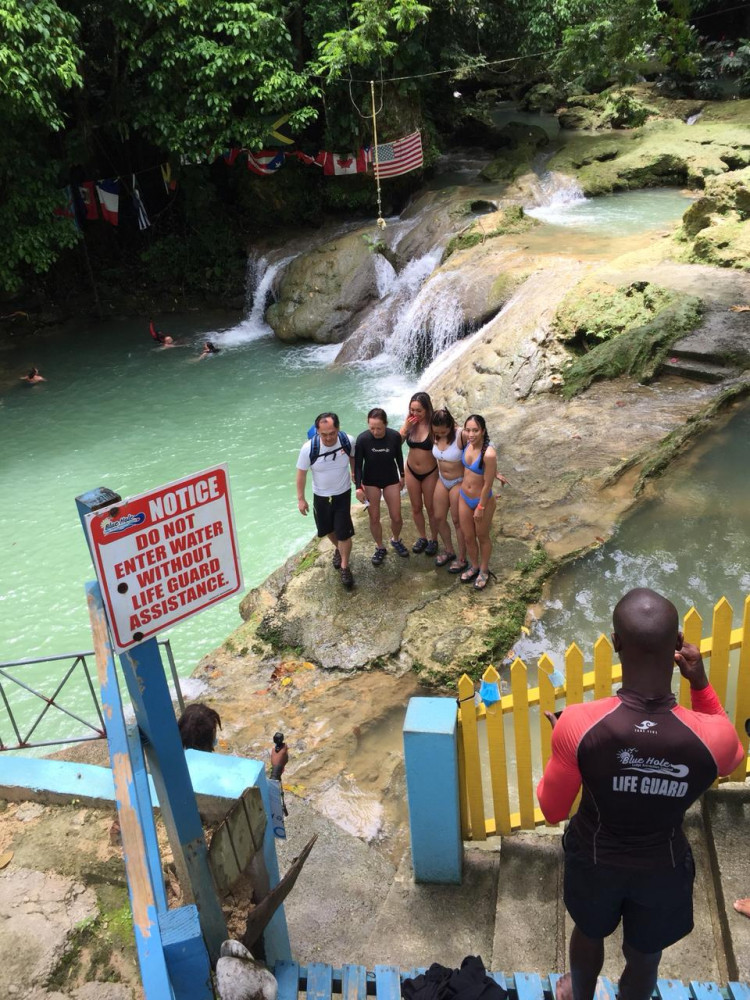 Private Blue Hole Secret Falls and Dunn’s River Falls - Montego Bay ...