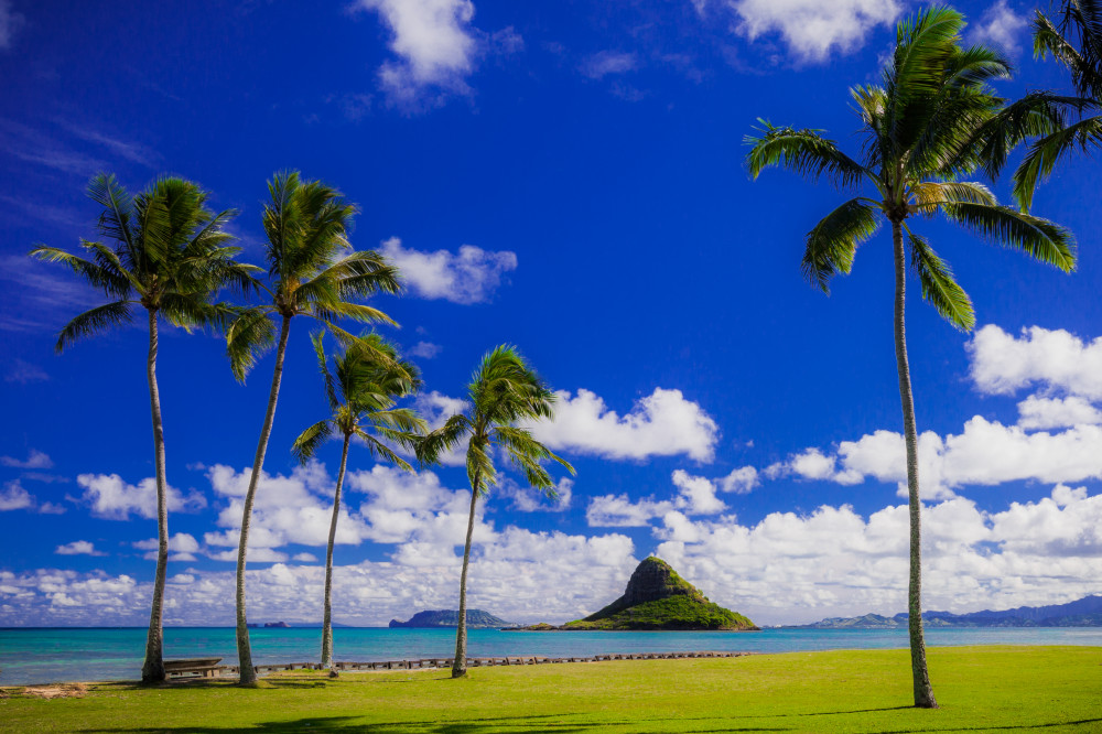 Hidden Gems of Oahu with Waimea Waterfall/Botanical Garden - Honolulu ...