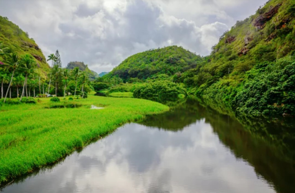 Hidden Gems of Oahu with Waimea Waterfall/Botanical Garden - Honolulu ...