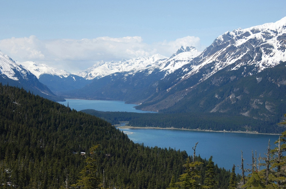 The Sub-Alpine Mountain Explorer Tour from Skagway - Skagway | Project ...