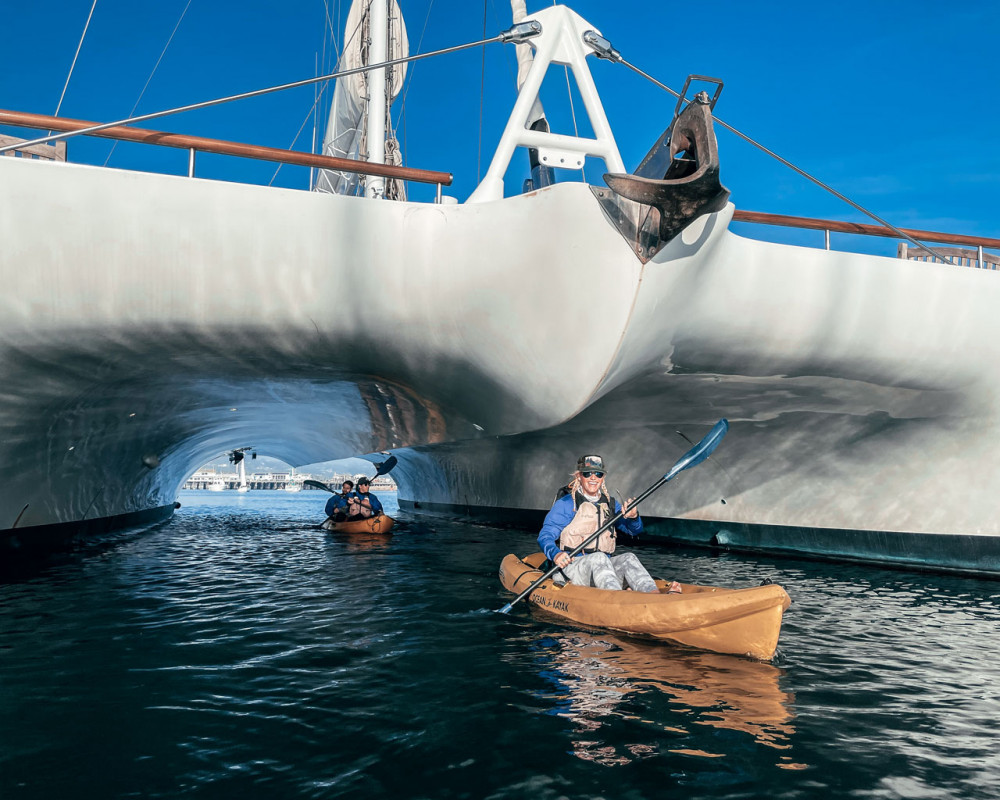 Santa Barbara Wildlife Harbor Kayak Tour - Santa Barbara | Project ...
