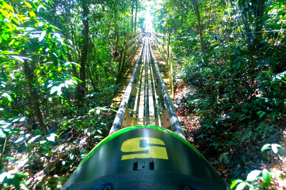 Jamaica Bobsled Adventure Tour from Falmouth - Falmouth | Project ...