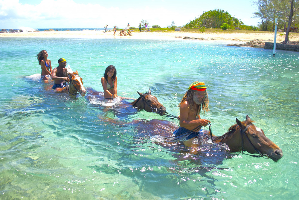 Sand N Saddle Horseback Ride n Swim Tour from Montego Bay - Montego Bay | Project Expedition