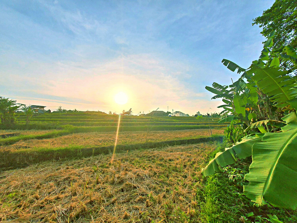 Bali Hidden Rice Terraces Trek - Denpasar City (Benoa/Kuta) | Project ...