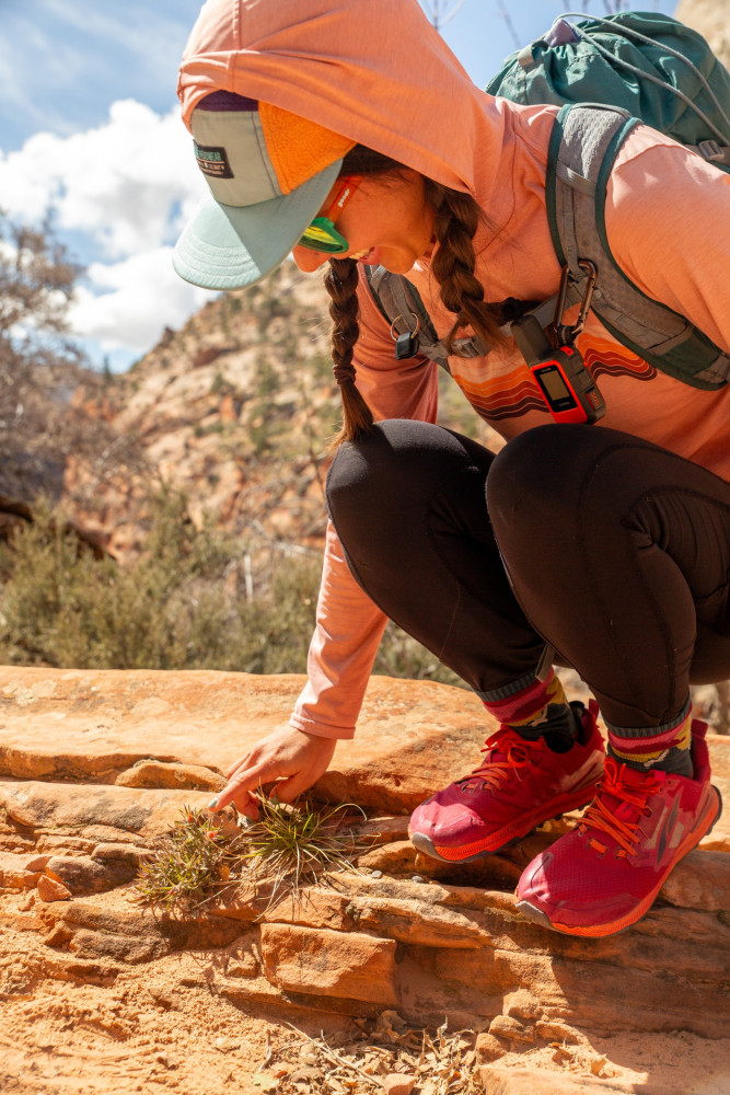 6 Day Zion & Bryce Canyon Camping & Glamping Adventure - Salt Lake City ...