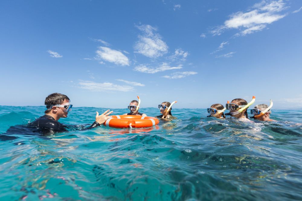 Ocean Freedom Cruise to Upolu Cay Reef & Outer Edge Upolu Reef - Cairns ...