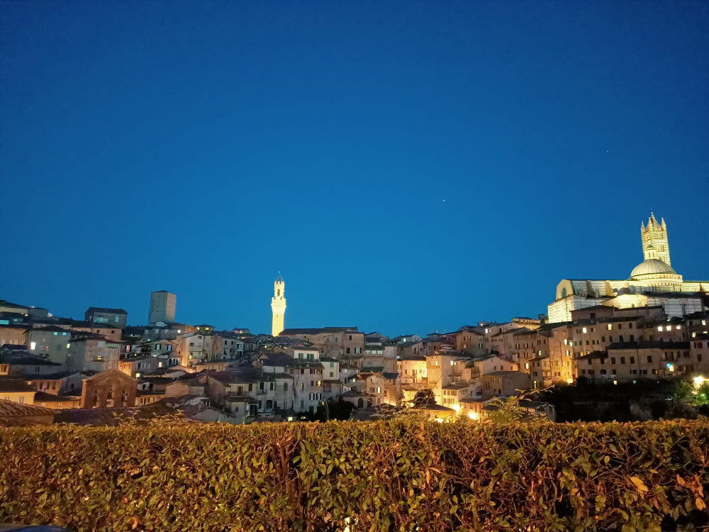 VIP Siena Wine tasting In a Medieval Cave - Siena | Project Expedition