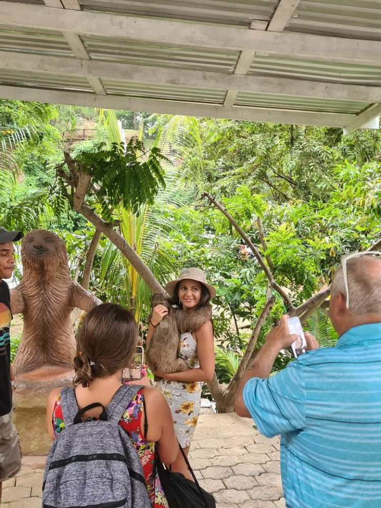 Half Day Adventure - Zipline Sloth Park and West Bay Beach Break ...