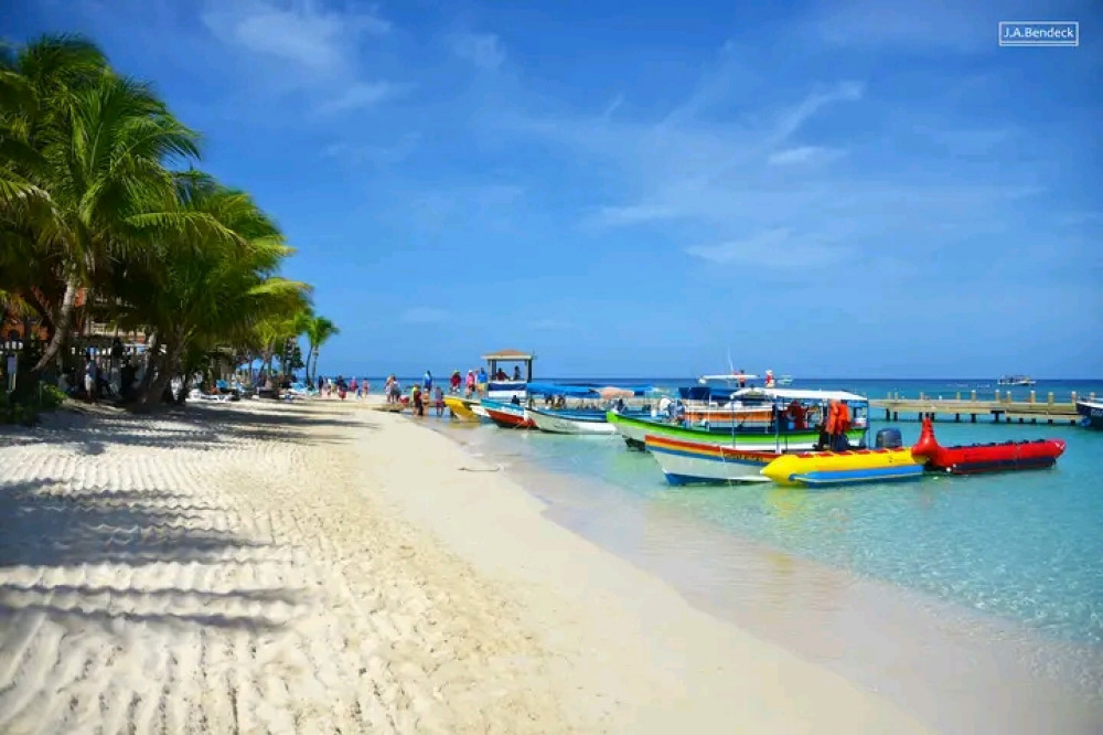 Half Day Adventure - Zipline Sloth Park and West Bay Beach Break ...